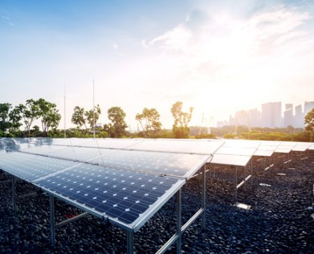 Accelerating Climate Action | UCLA Luskin Center for Innovation